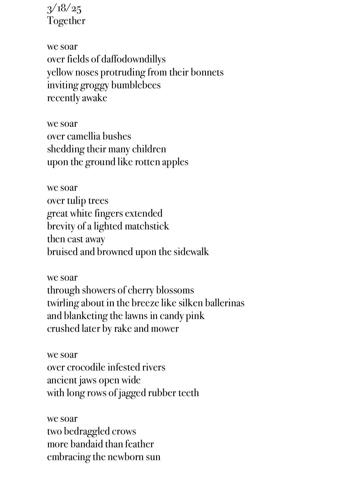 Daily Poem (Together), the daily drawing, my Bosch study, and the daily ...