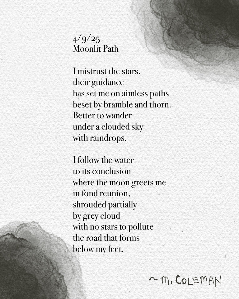 Today’s poem (Moonlit Path), the daily writing prompt, and strength ...
